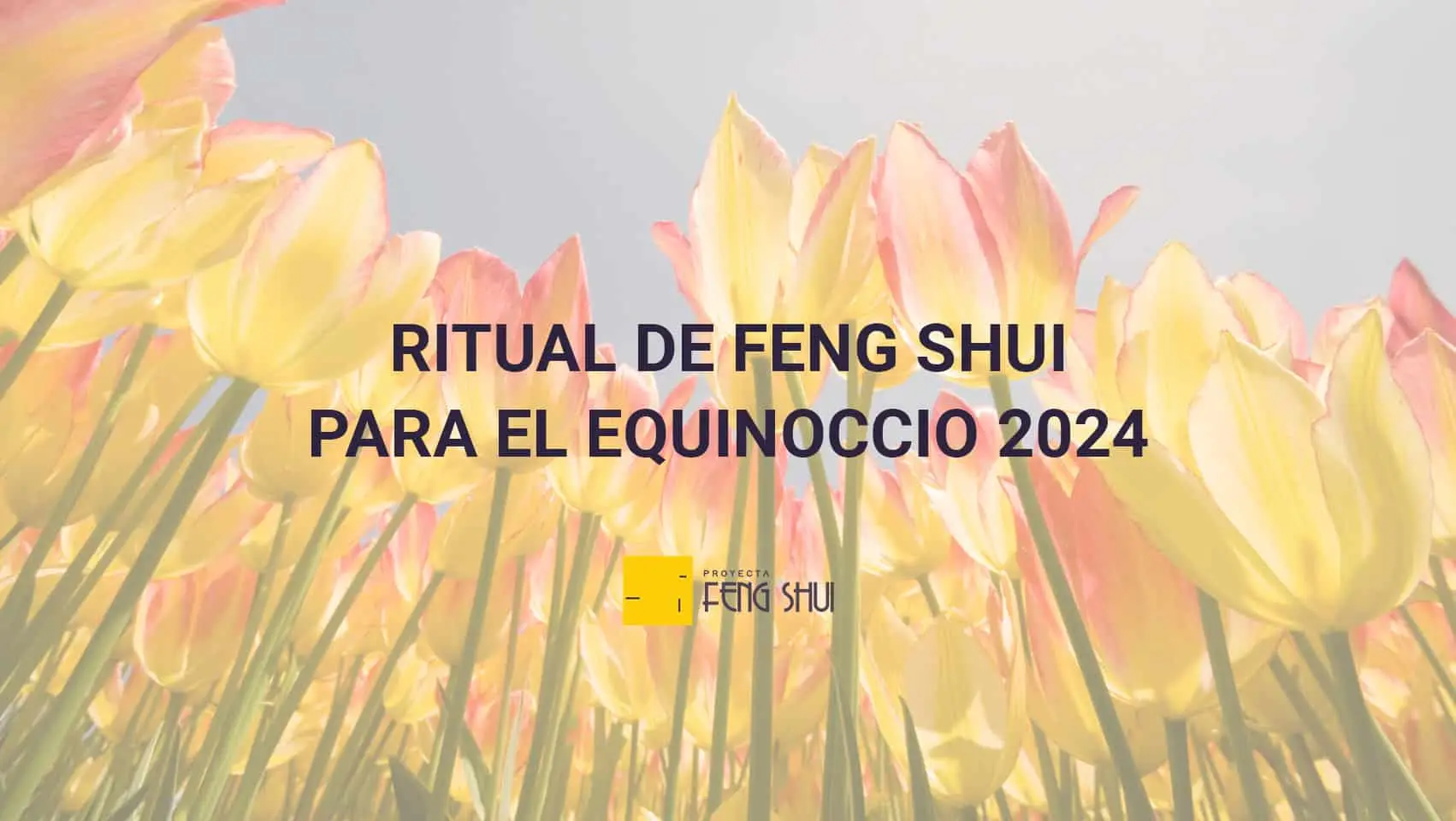 Ritual de Feng Shui para el Equinoccio 2024 - Proyecta Feng Shui